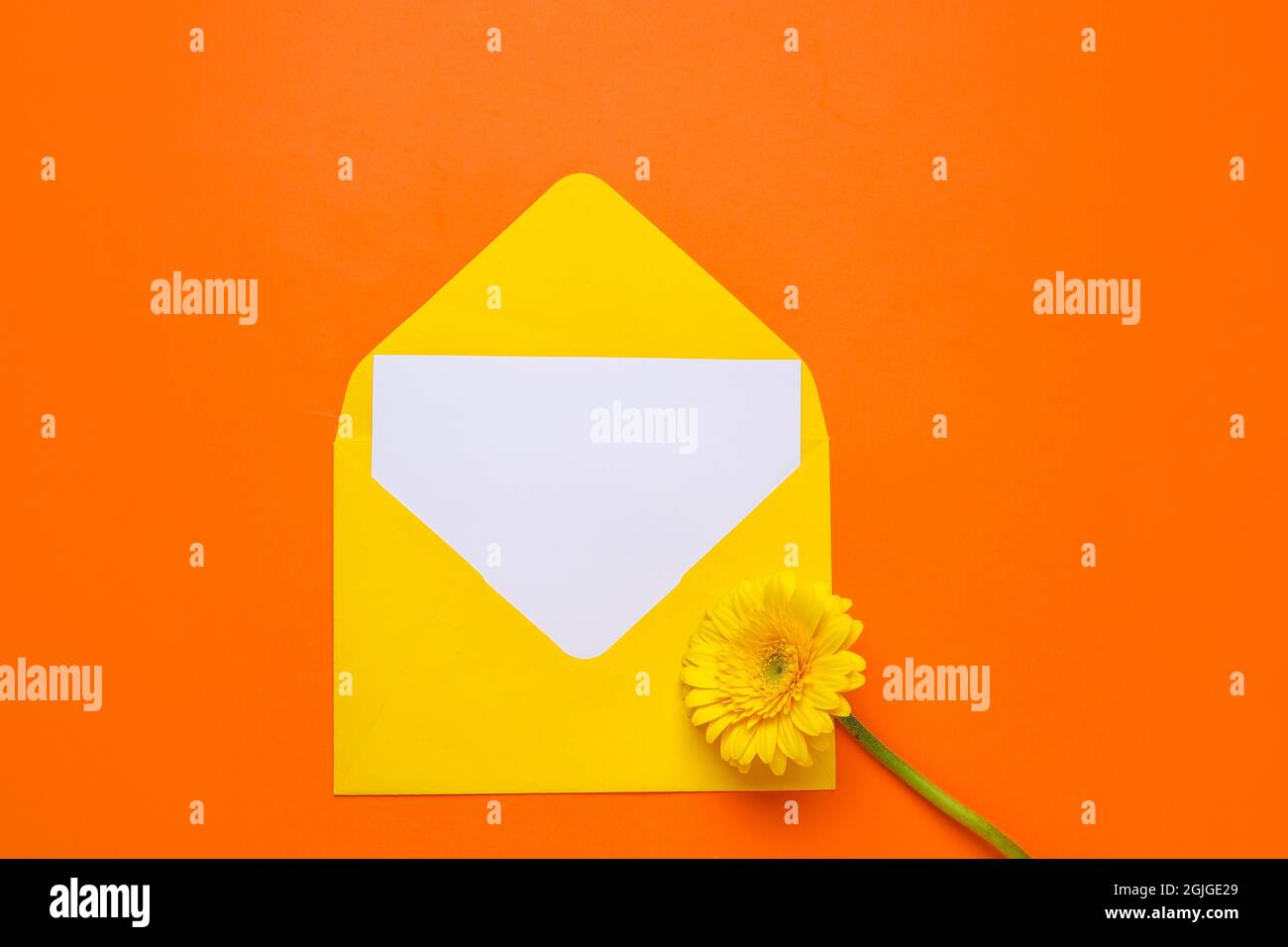 Envelope with blank card and flower on color background Stock Photo - Alamy