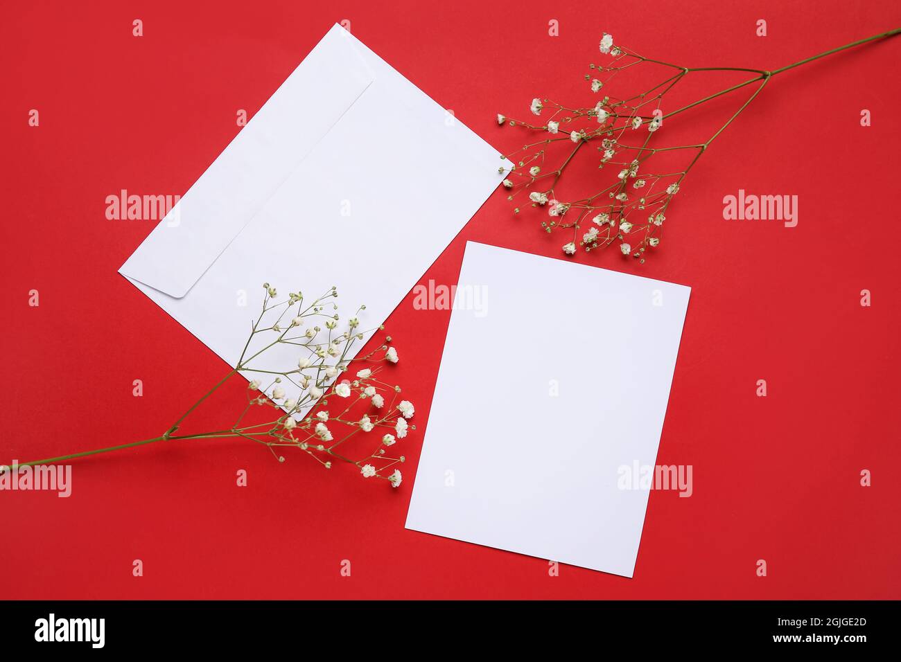 Envelope with blank card and flowers on color background Stock Photo ...