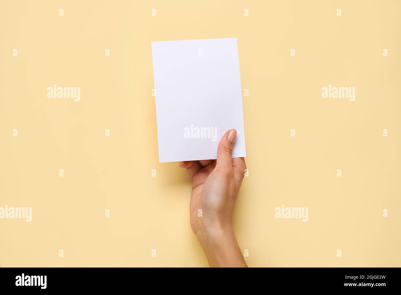 Female hand with blank card on color background Stock Photo - Alamy