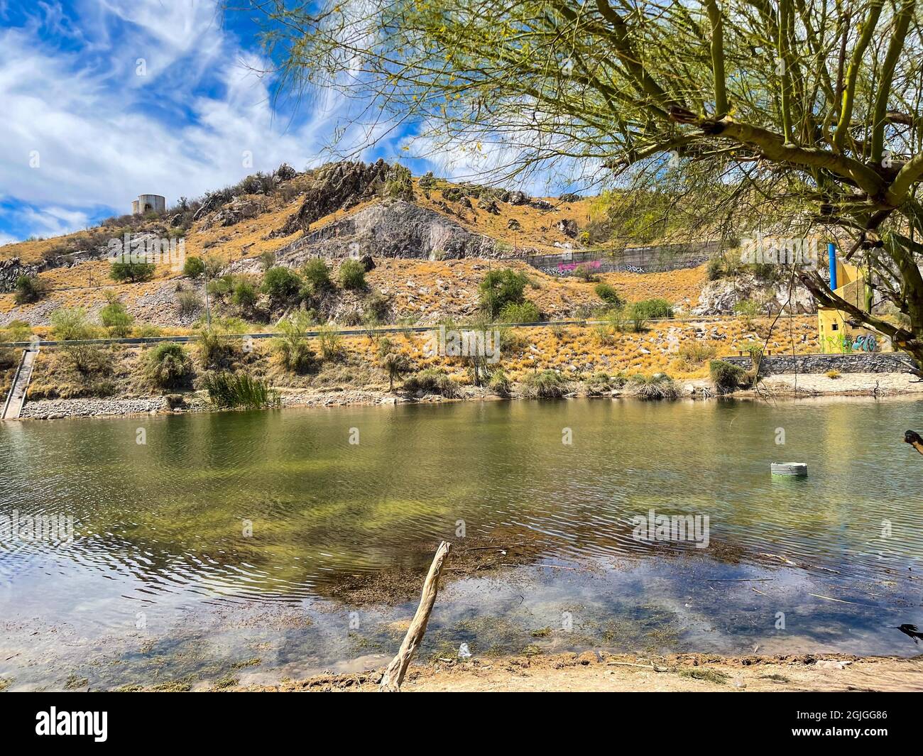 Lake or wetland landscape on a sunny summer day in La Sauceda Park in ...