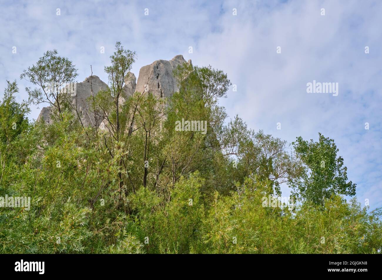 The Scarborough Bluff is an escarpment located along the eastern ...