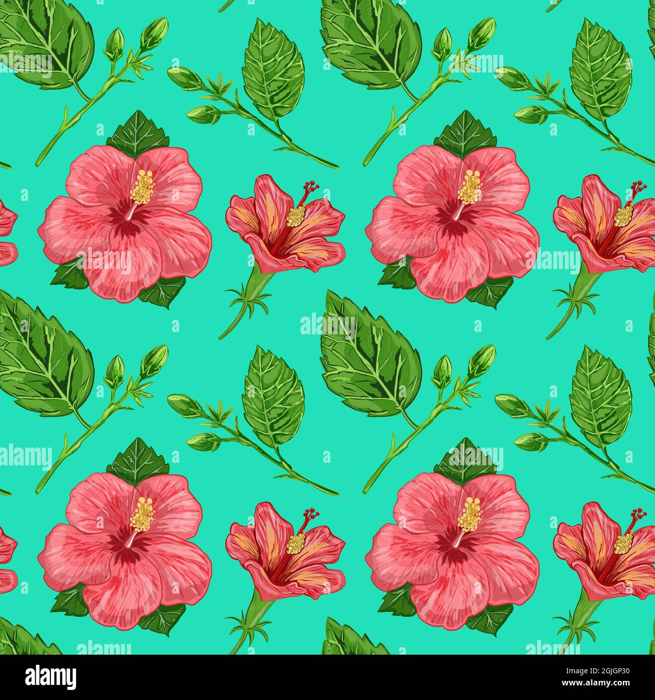 illustration of a seamless pattern of hibiscus plants flowers and ...