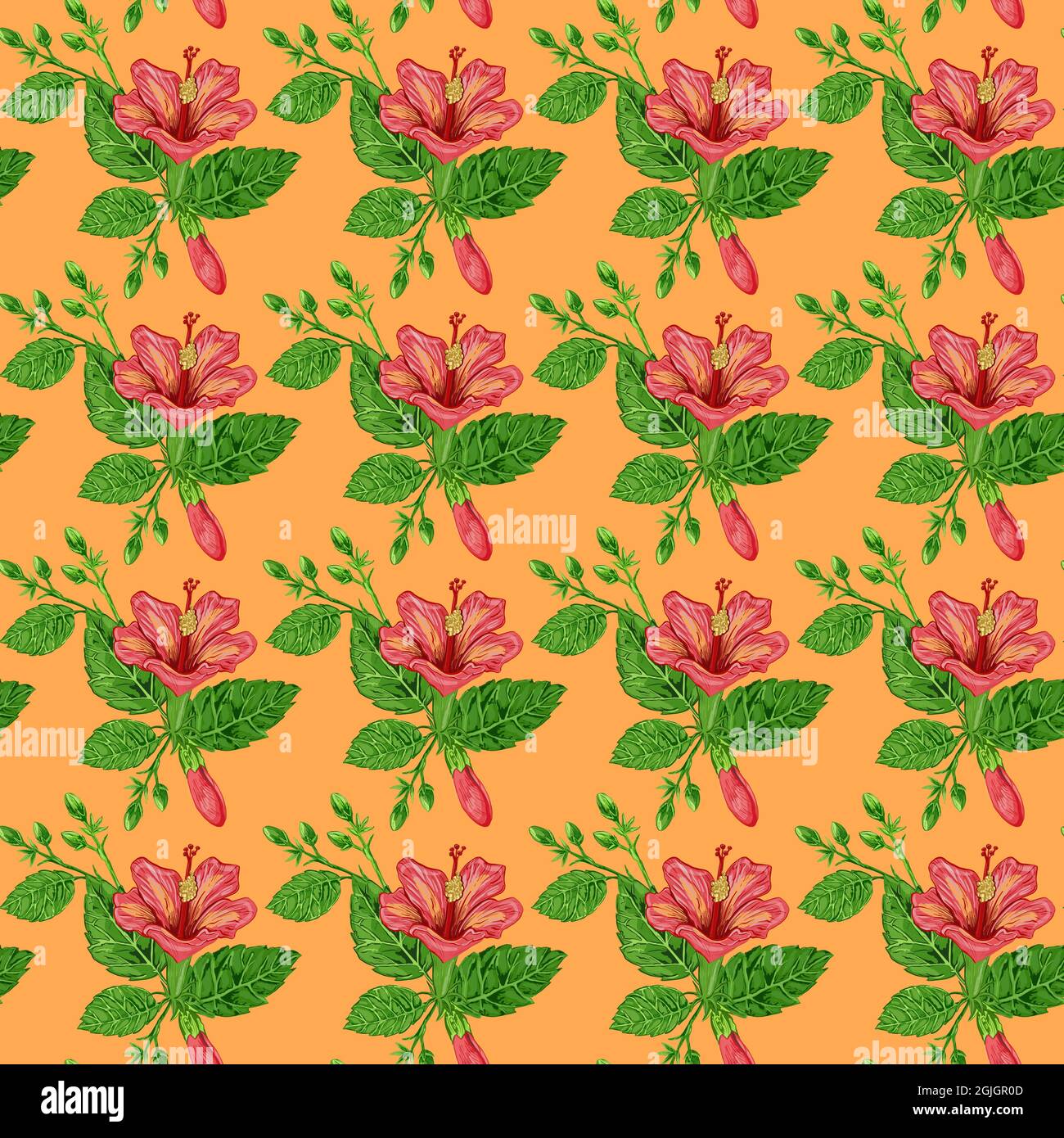 illustration of a seamless pattern of hibiscus plants flowers and ...