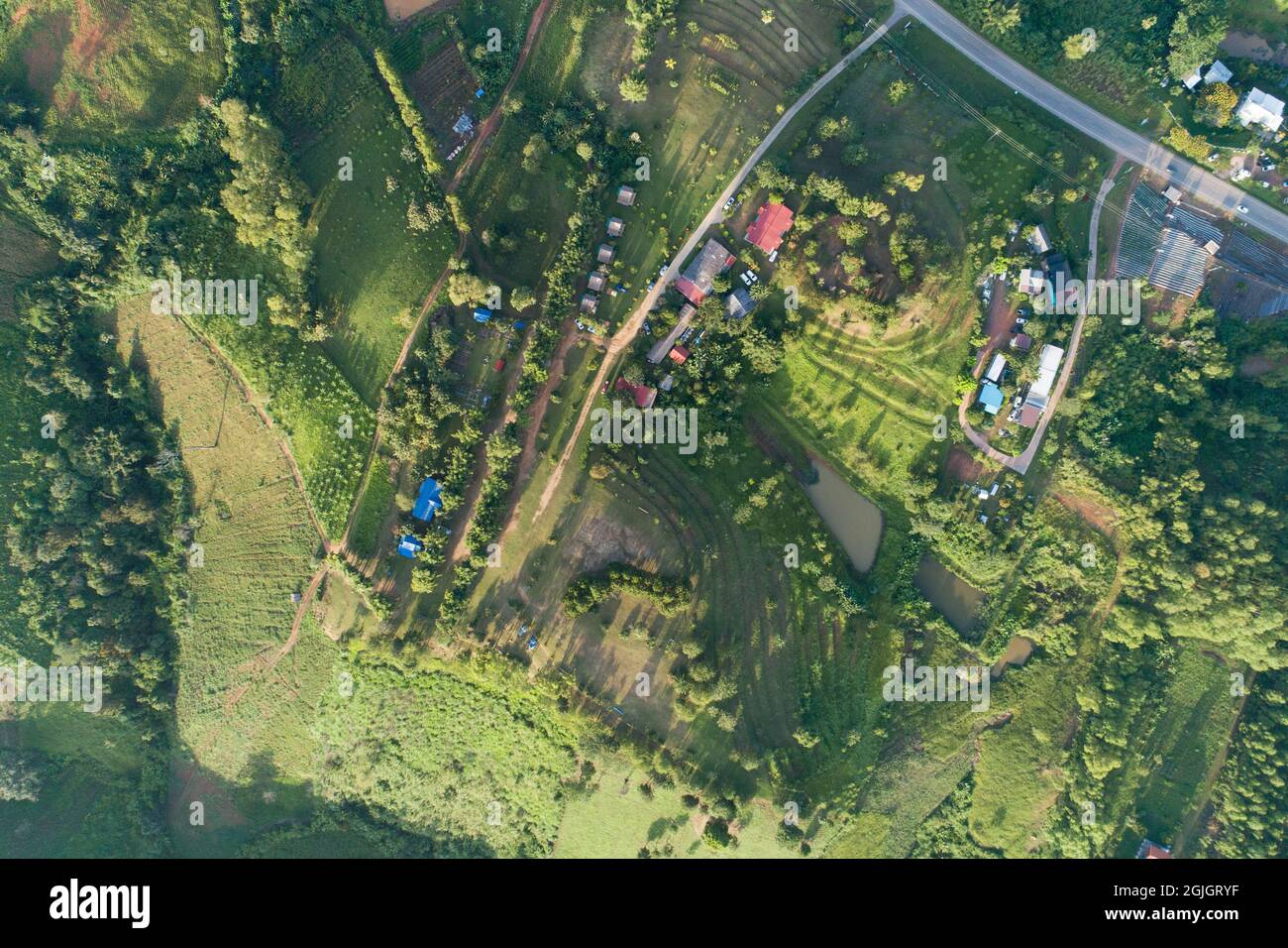 Top view of park Natural grass texture in the morning Stock Photo - Alamy