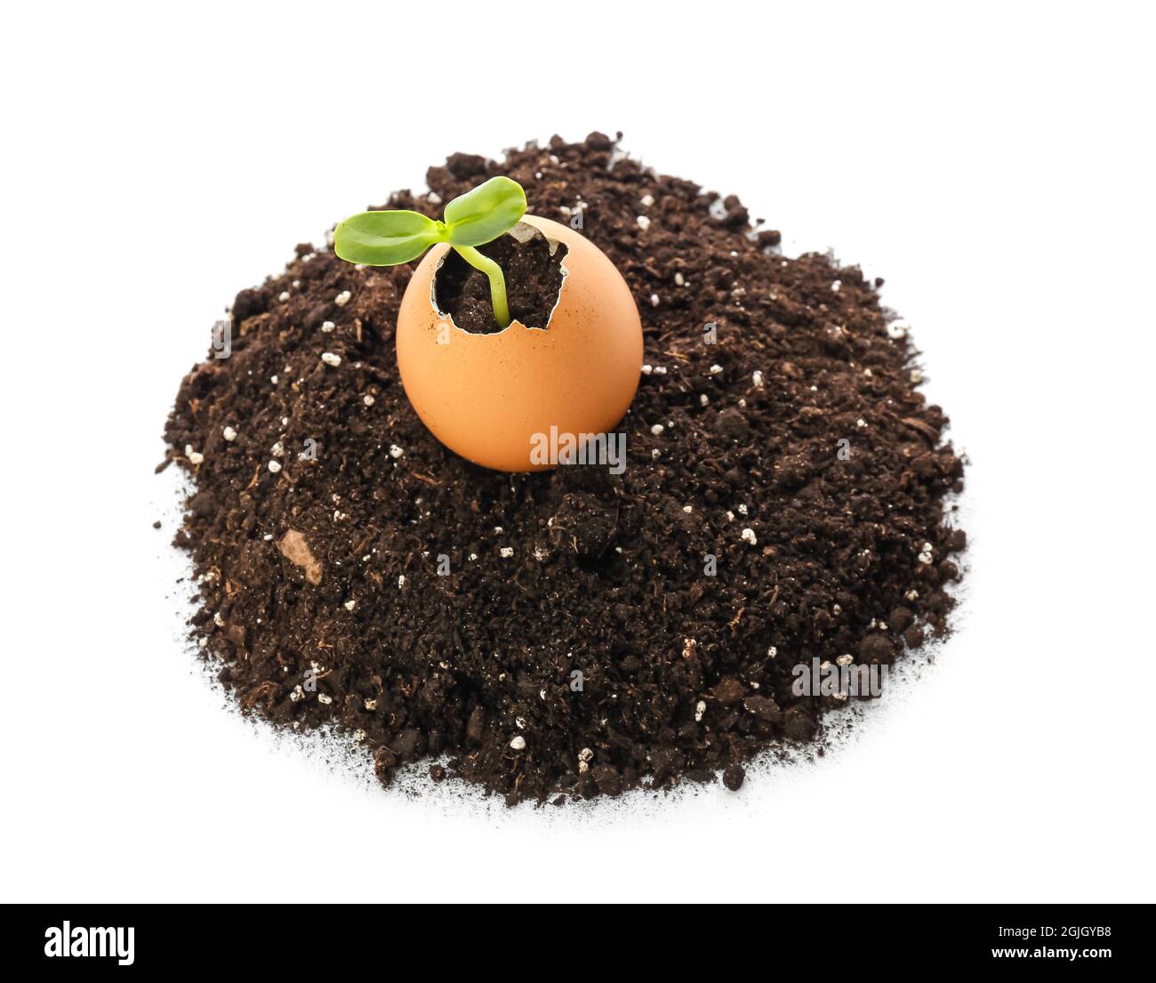 Green seedling in eggshell with heap of soil on white background Stock ...