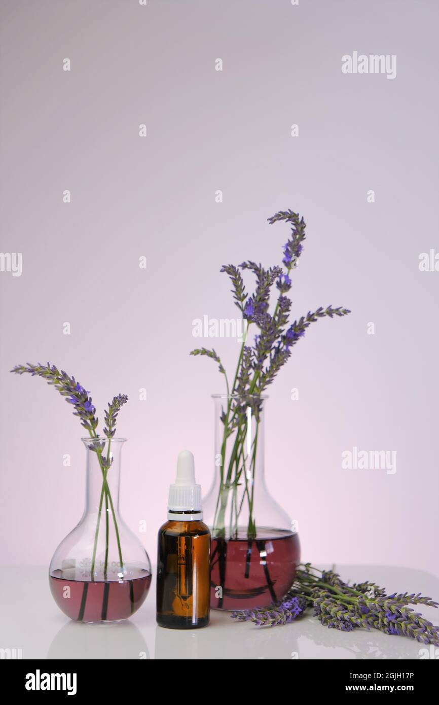 Lavender Essential oil.Glass bottle with a pipette, laboratory flasks ...