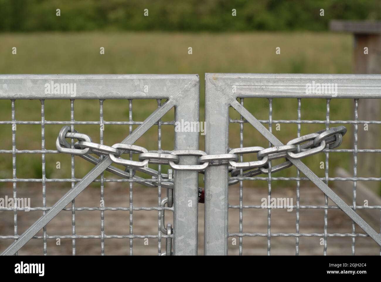 Heavy chain keeping metal gates shut in a farm with thick trees and a ...