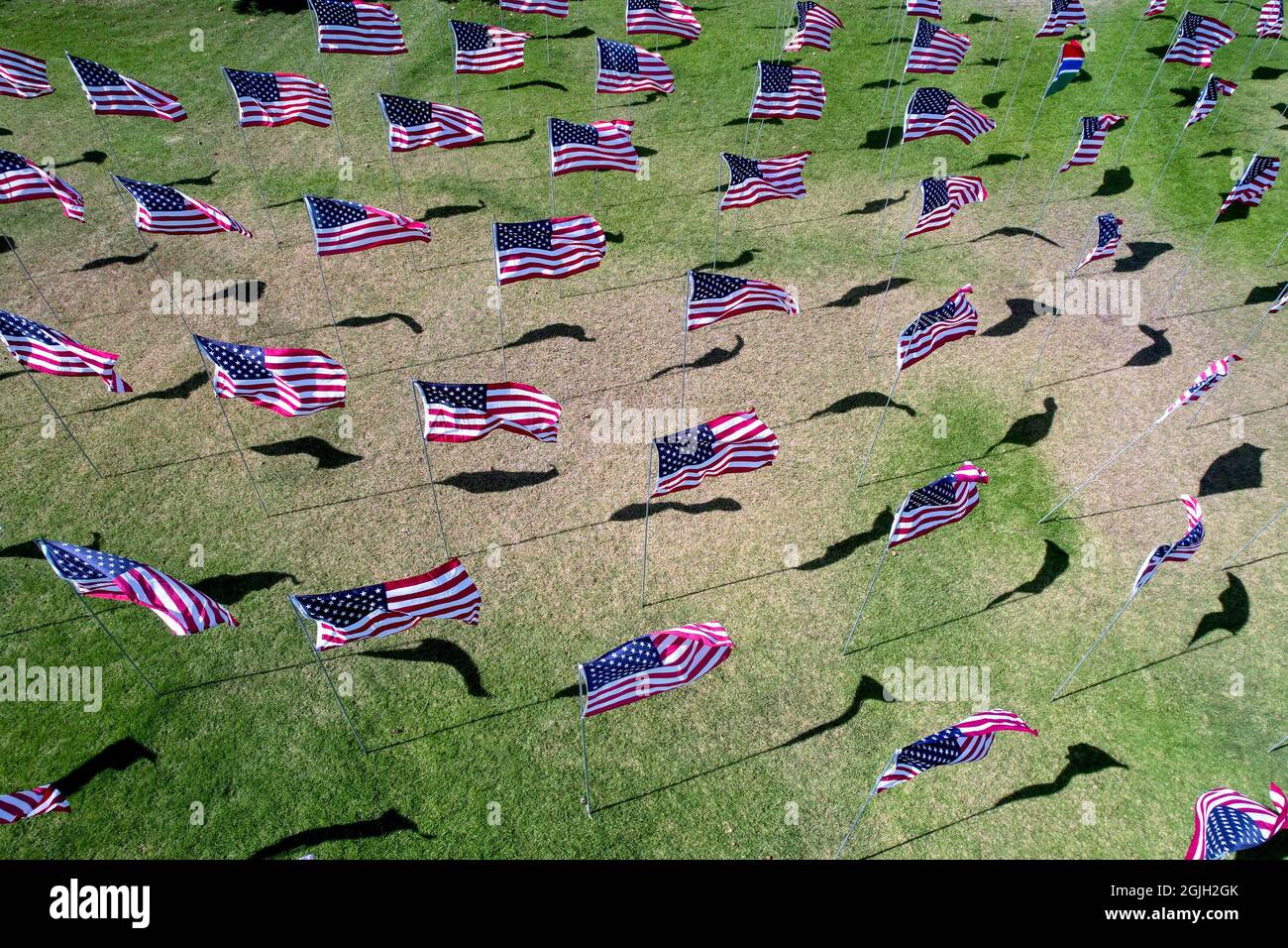 Los Angeles, California, USA. 9th Sep, 2021. Flags wave in wind among ...