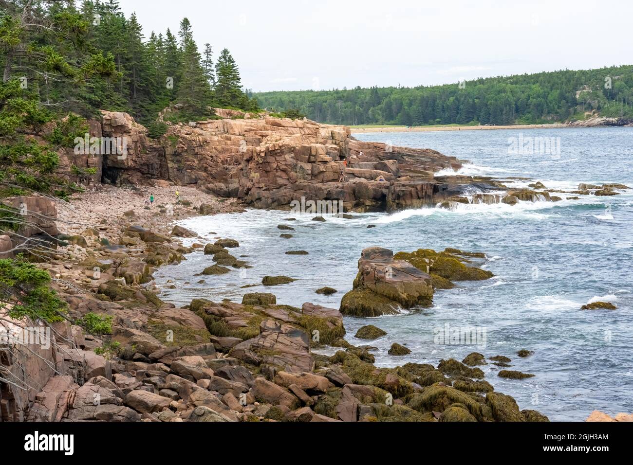 Acadia National Park, Maine, USA. Shoreline near Thunder Hole Stock ...