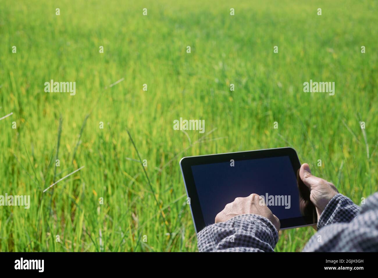 Smart farmer uses a tablet to monitor and analyze the crops in his farm ...