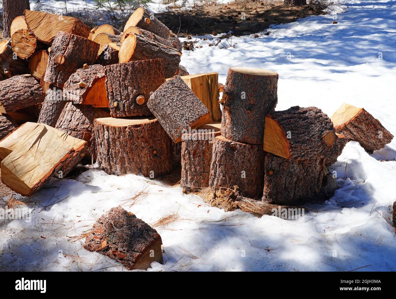 View of stacks of chopped wood and trees in the snow in winter Stock ...