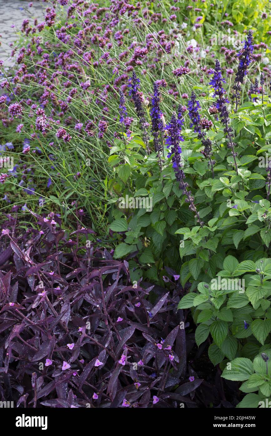 Cool colors hi-res stock photography and images - Alamy