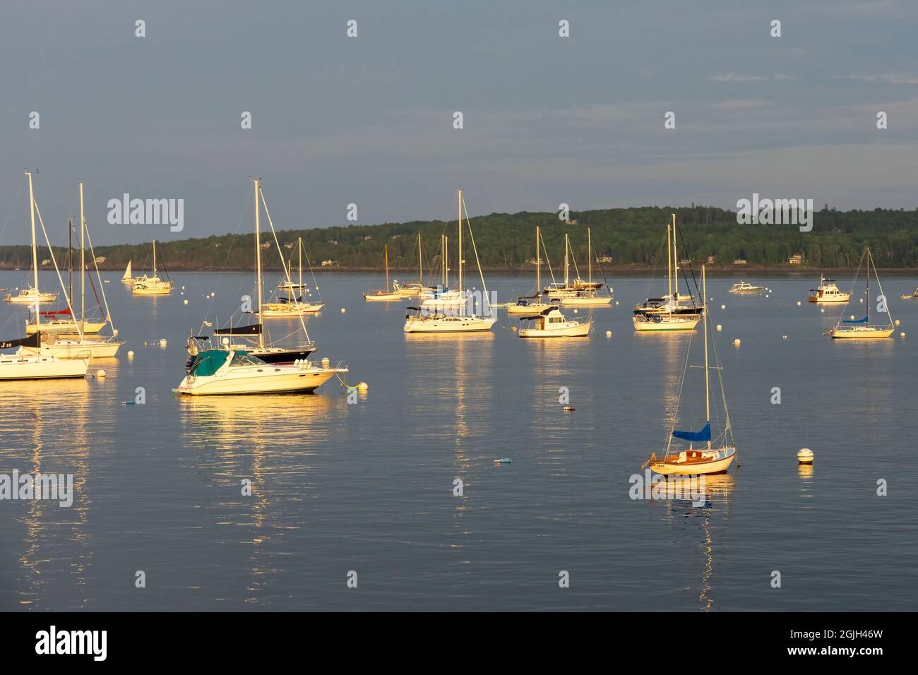 Castine, Maine, USA. Sail boats in the harbor at sunset Stock Photo - Alamy