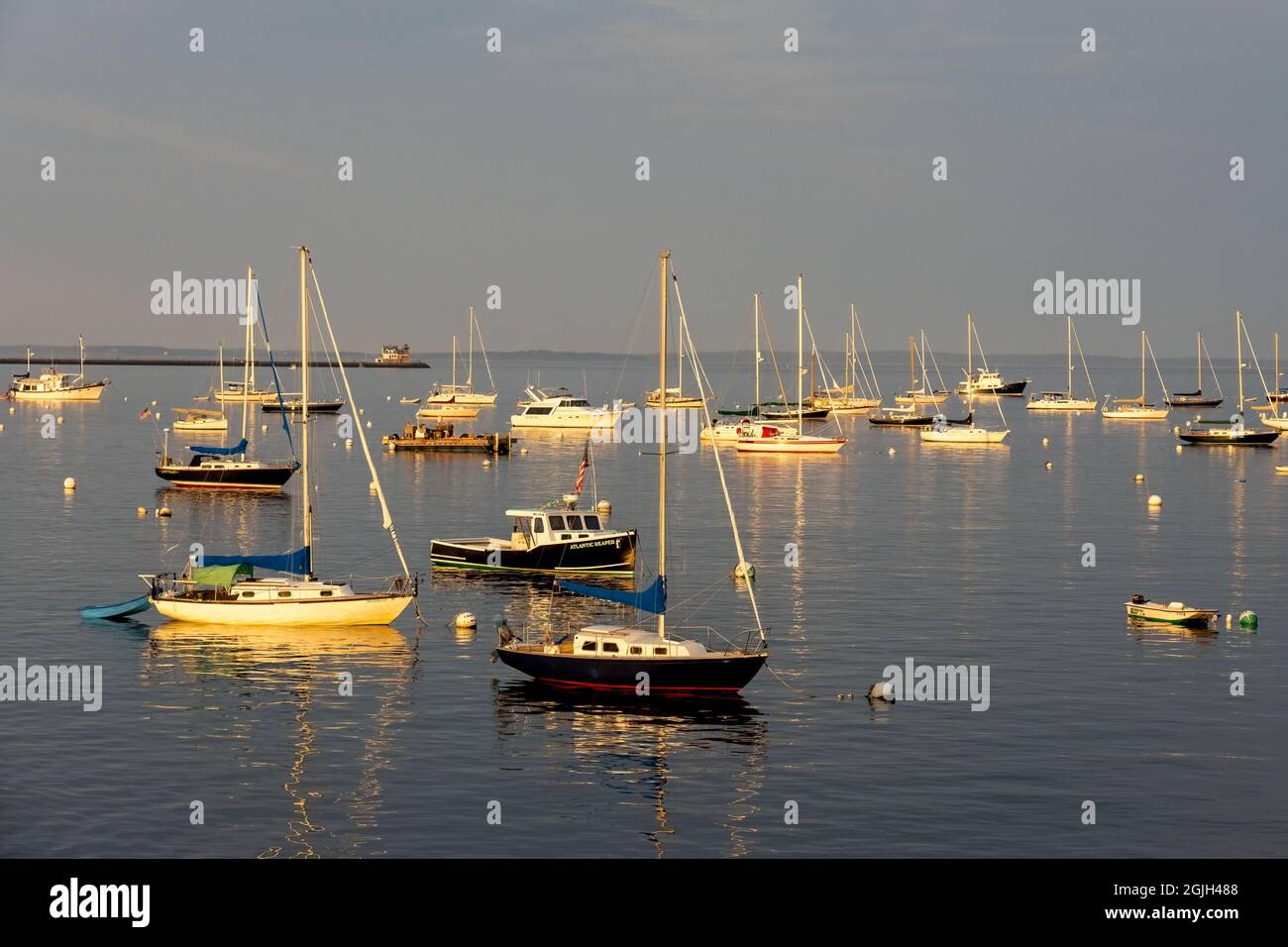 Castine, Maine, USA. Sail boats in the harbor at sunset Stock Photo - Alamy