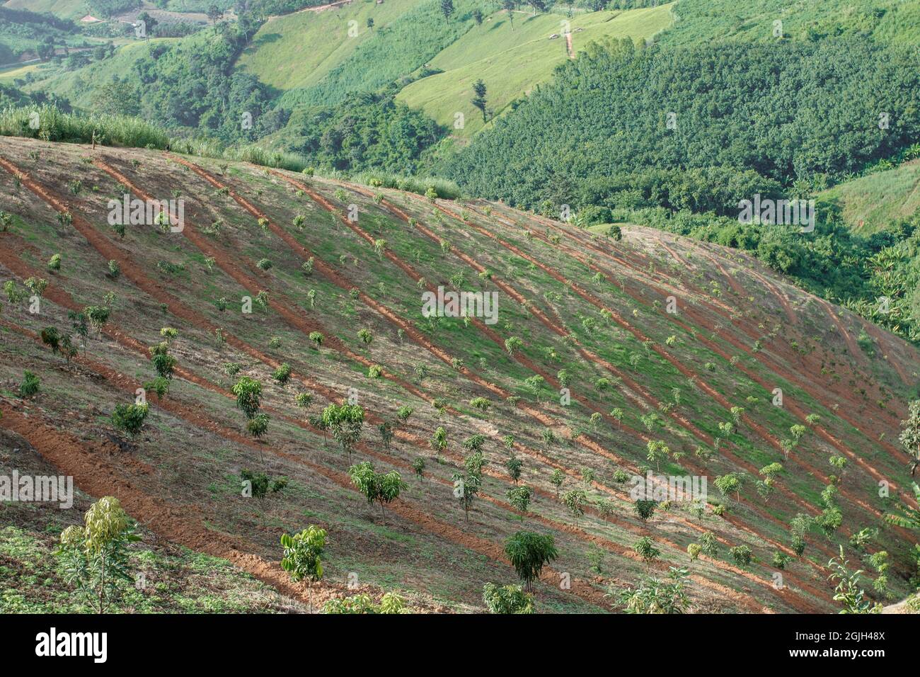 Agricultural plots hi-res stock photography and images - Alamy