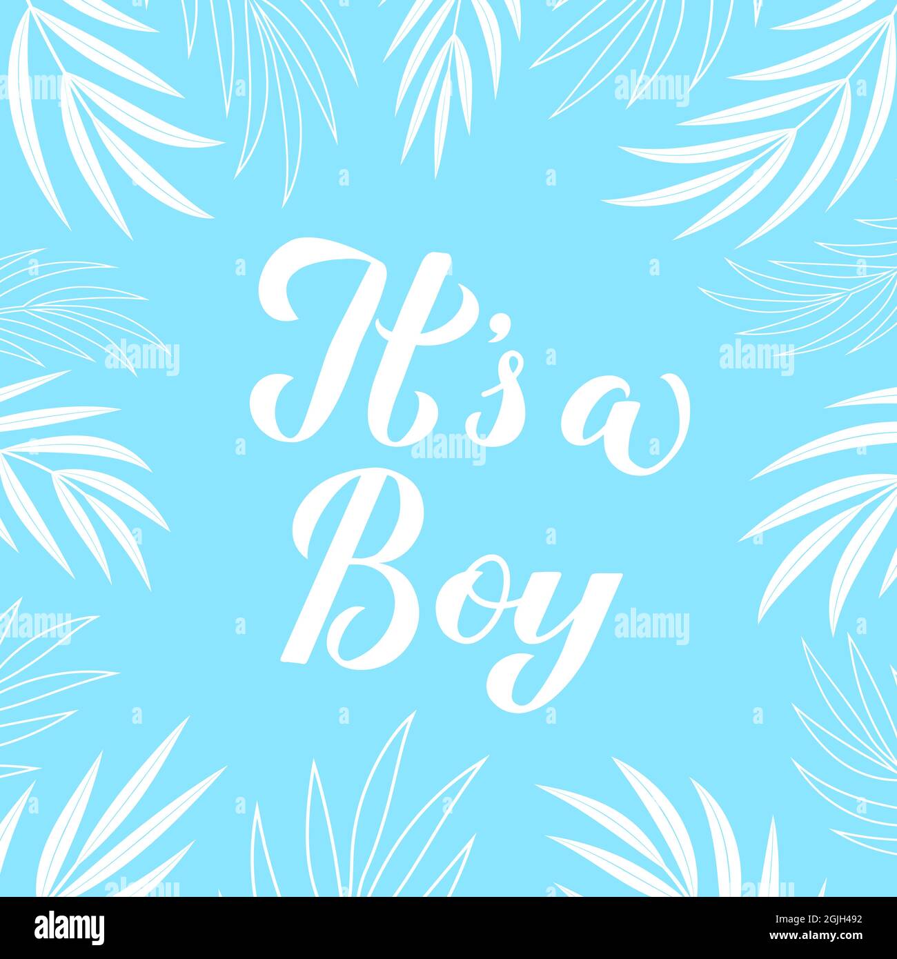 It s a boy calligraphy lettering on blue background with palm leaves ...