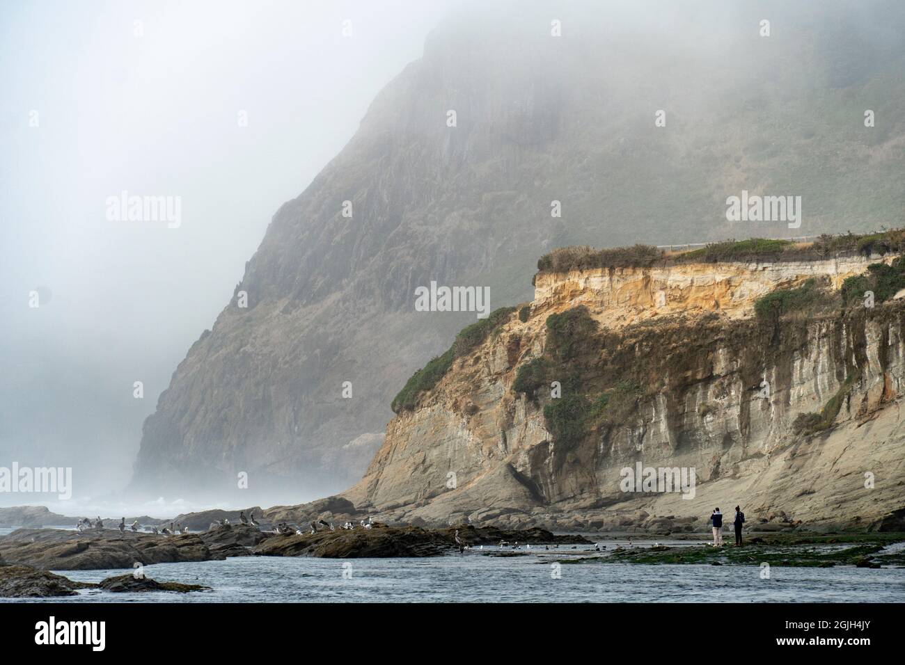Headlands resist waves on the Oregon Coast, USA. The high one consists ...