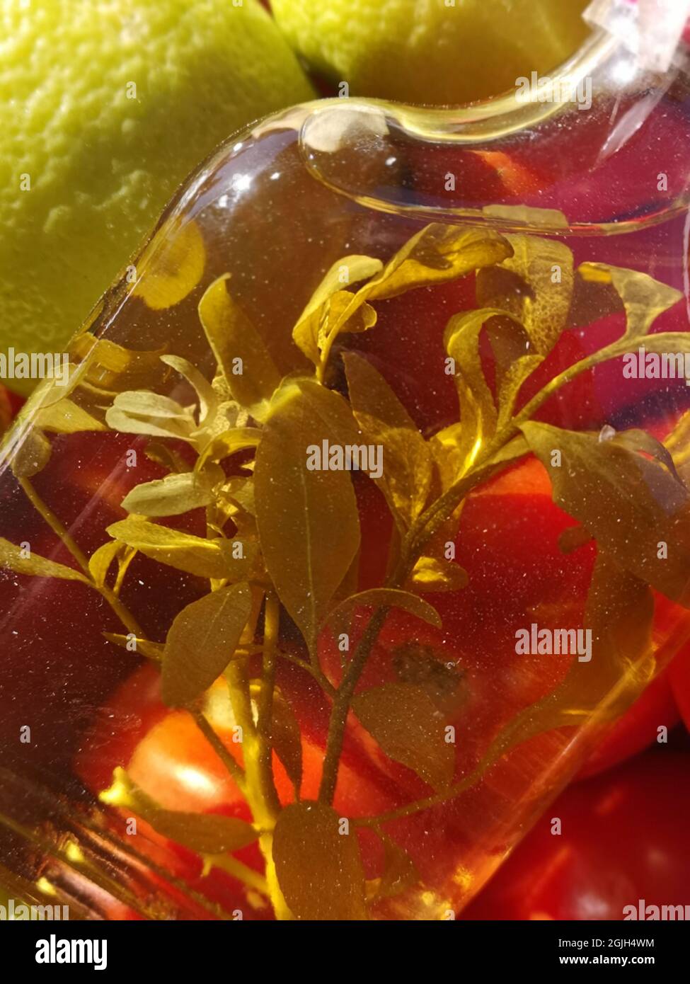 "Caña con Ruda" traditional South American drink ingested for the ...
