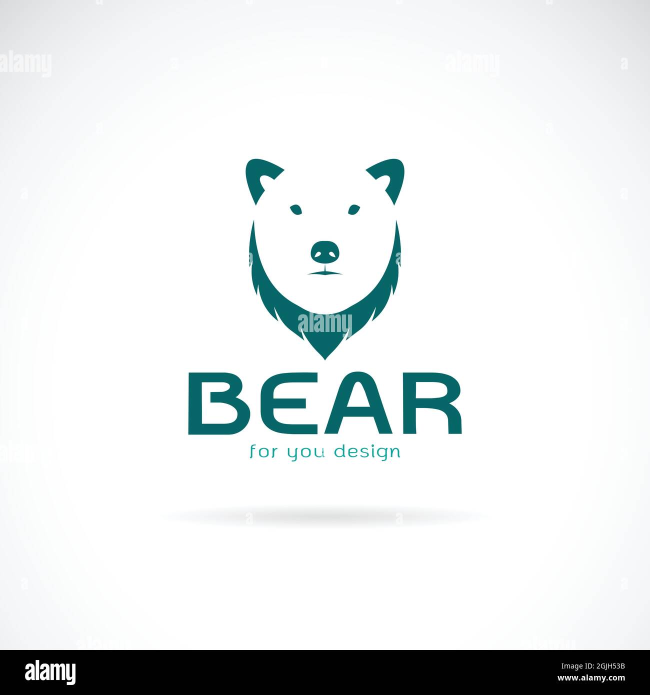Vector of bear head design and the letters on white background. Wild ...