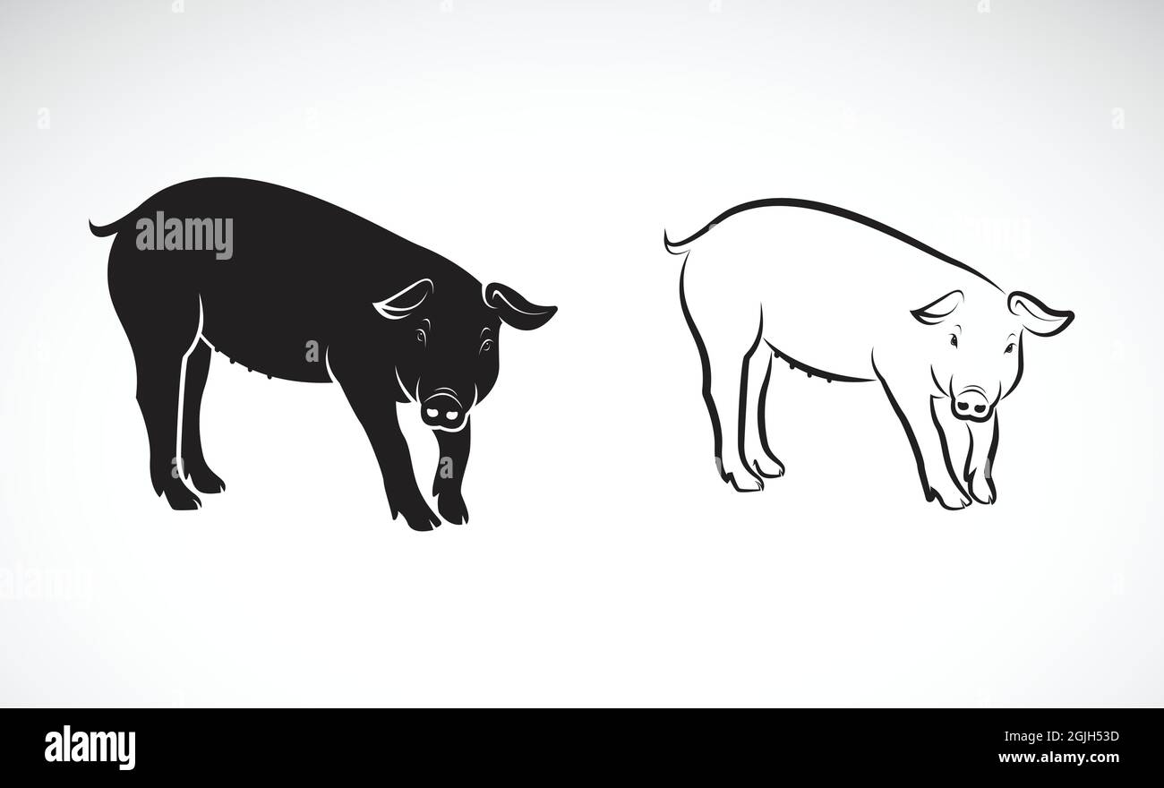Vector of a pig on white background. Farm Animals. Vector illustration ...