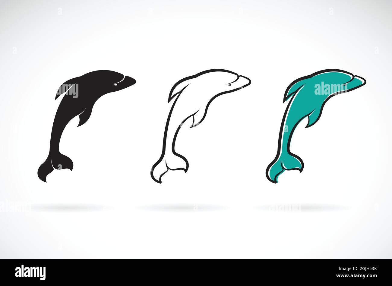 Dolphin Vector Logo