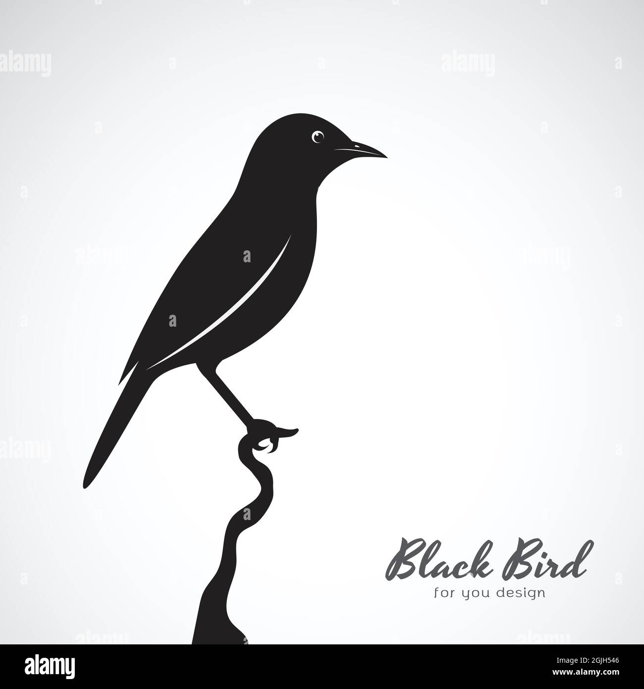 Vector of a black bird on white background. Animal. Easy editable ...