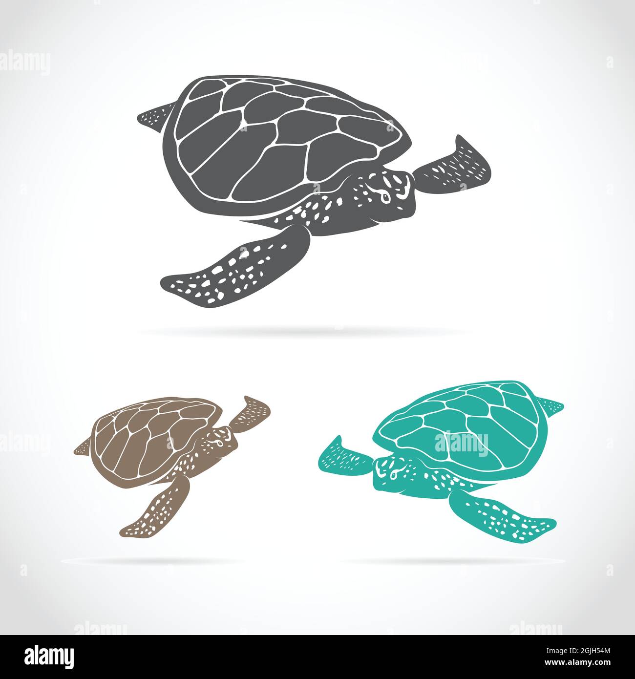 Vector image of an turtle on white background. Easy editable layered ...
