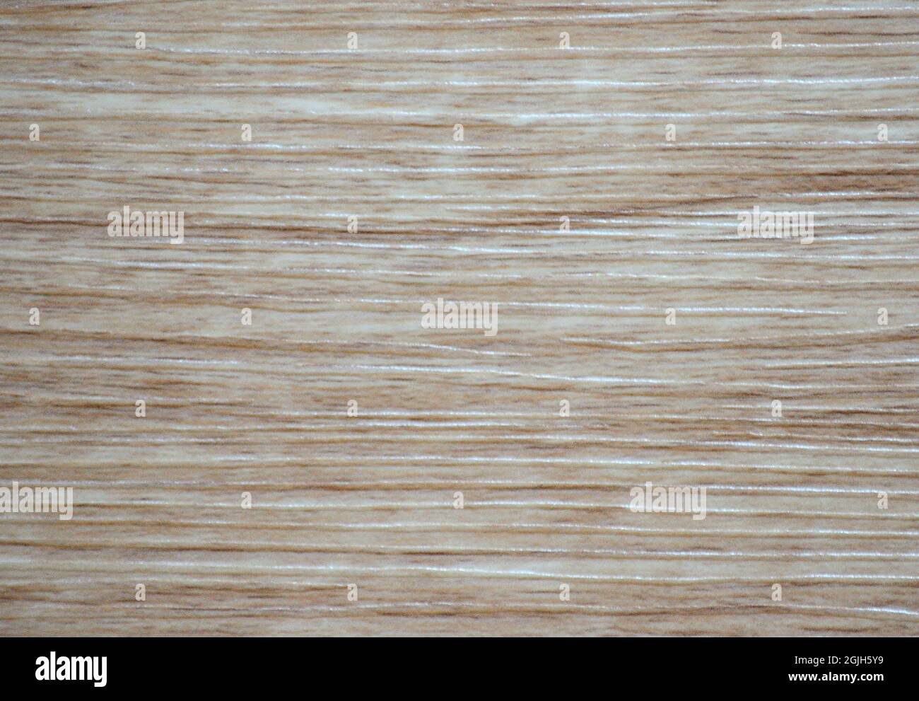 Light ash, striped pattern of natural wood close-up. Background ...