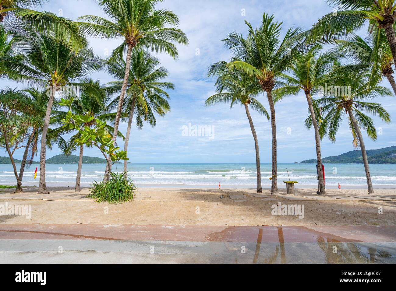 Phuket patong beach Summer beach with palms trees around in Patong ...