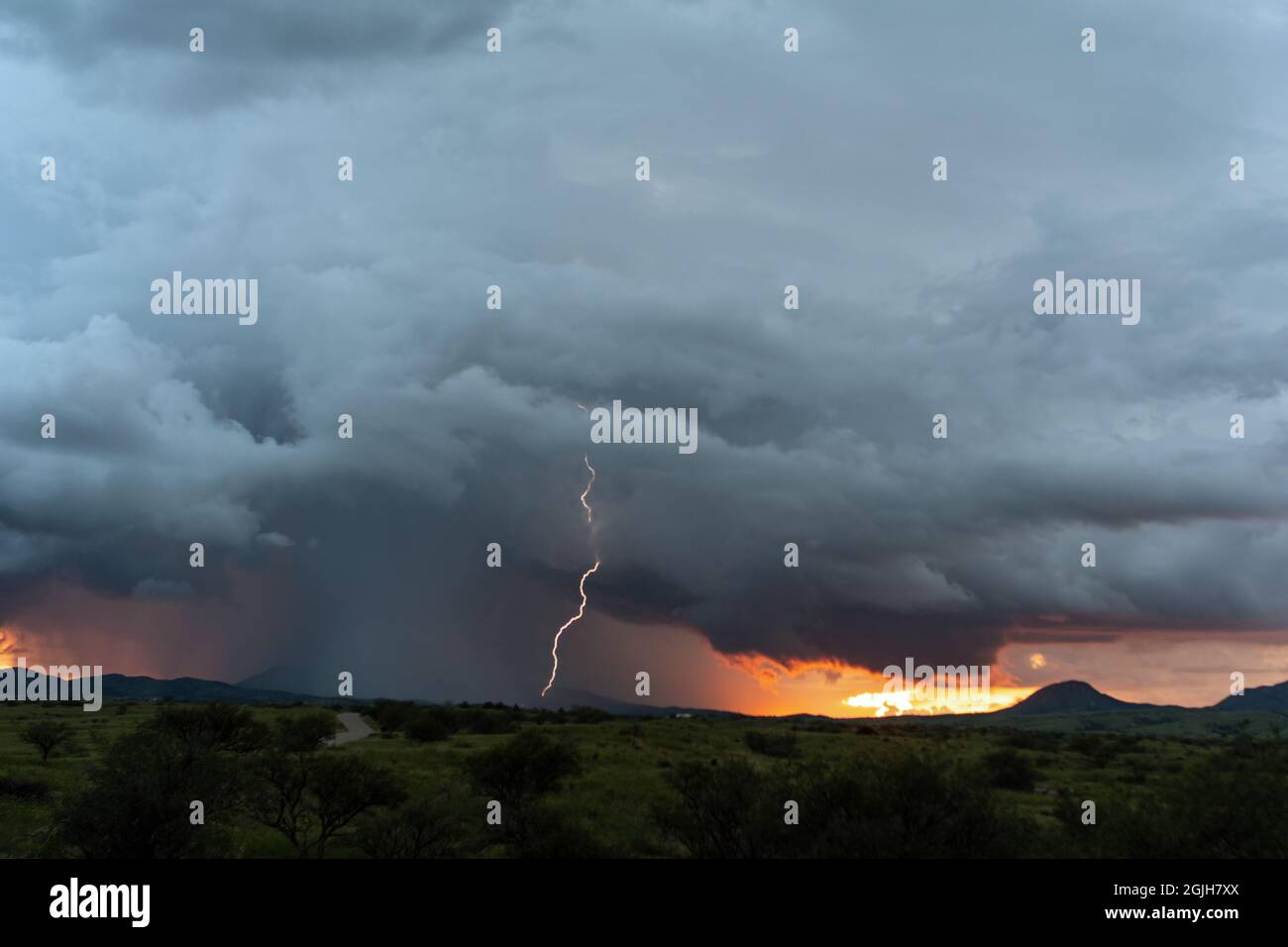Lightning and storm clouds at sunset Stock Photo - Alamy