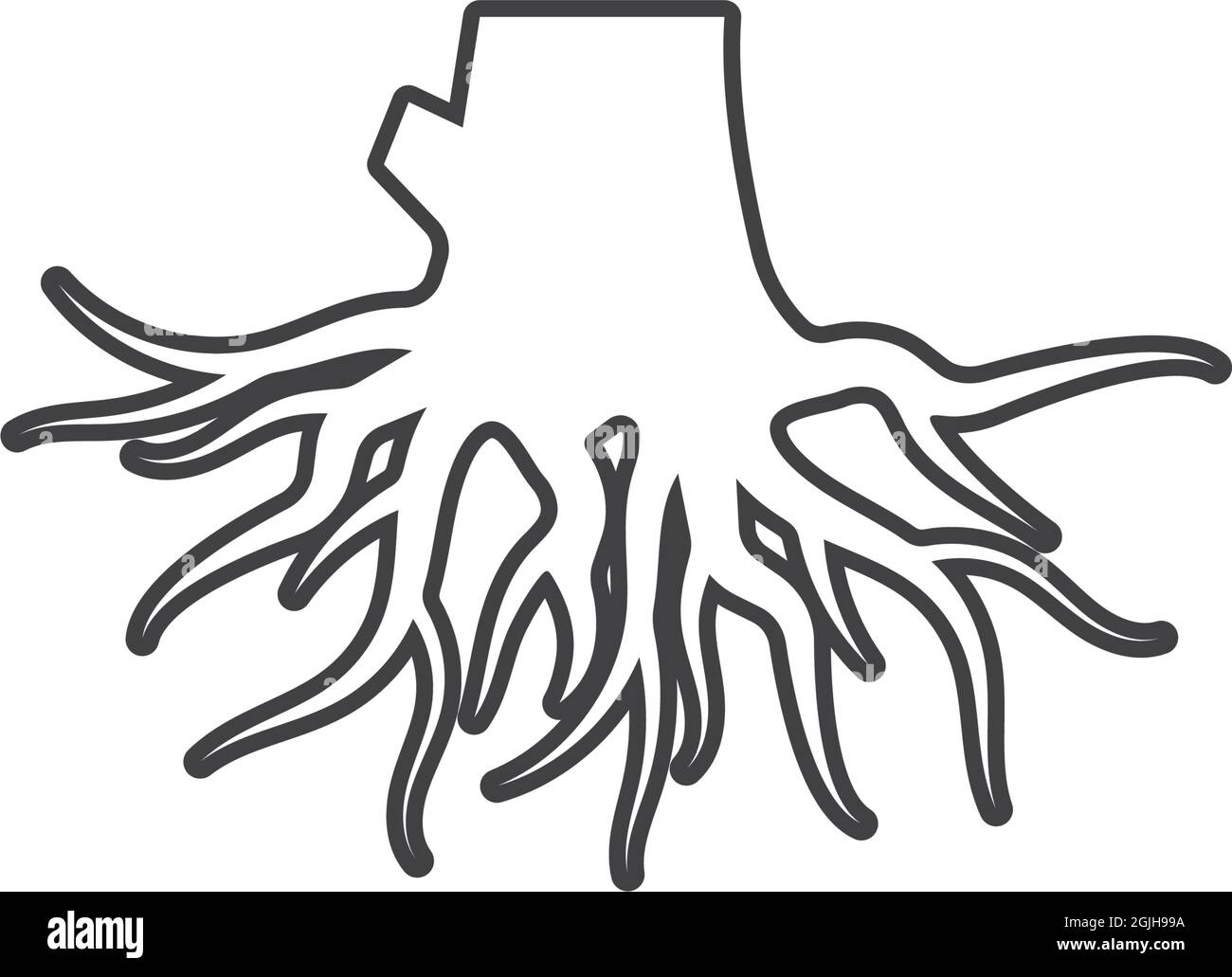 Tree roots knowledge Stock Vector Images - Alamy