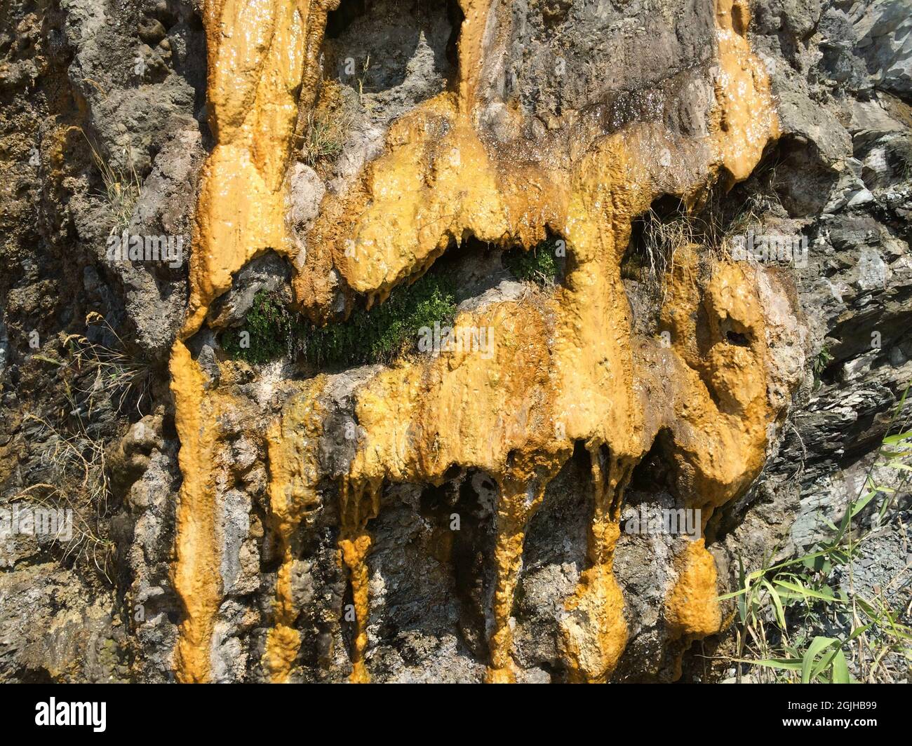 Background with yellow mold on the mountain or rock Stock Photo - Alamy