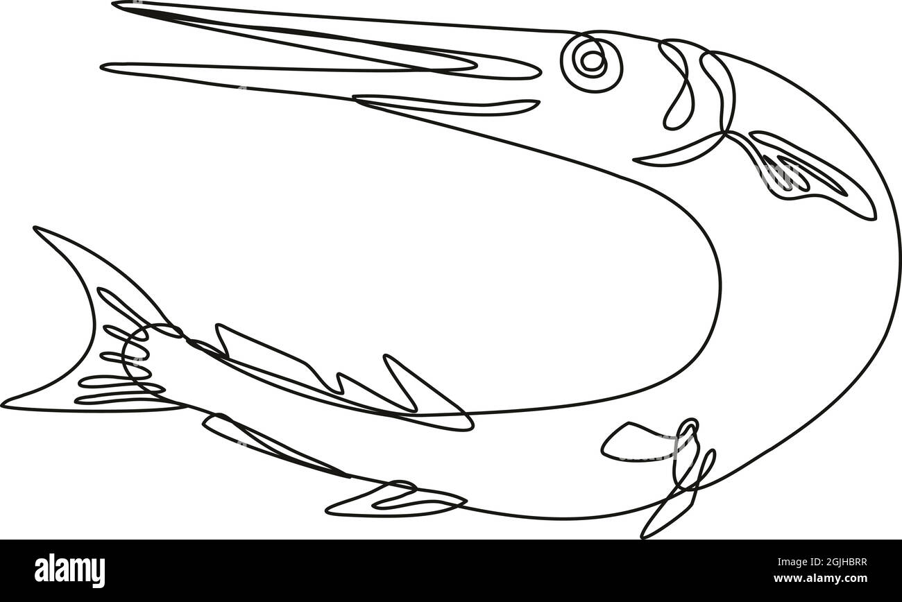 Needle Fish Drawing