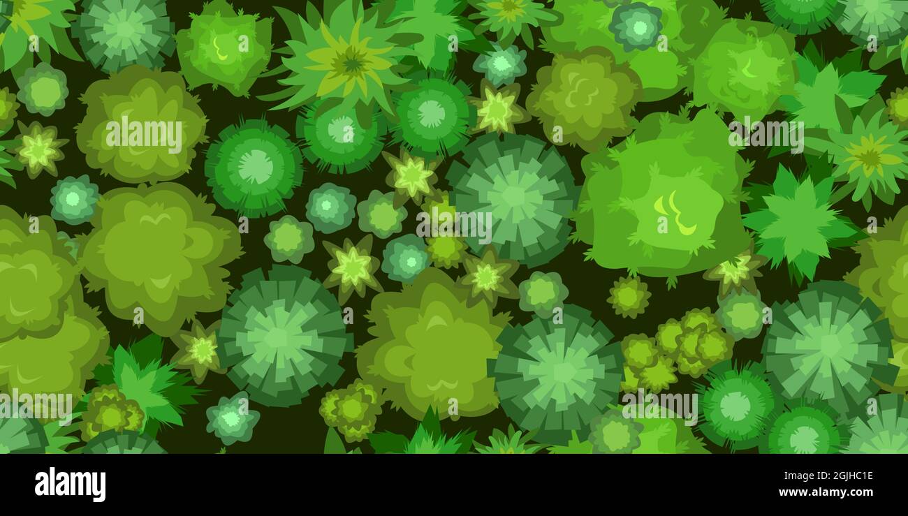 Dark forest. Top view of the landscape from a height. Green summer ...