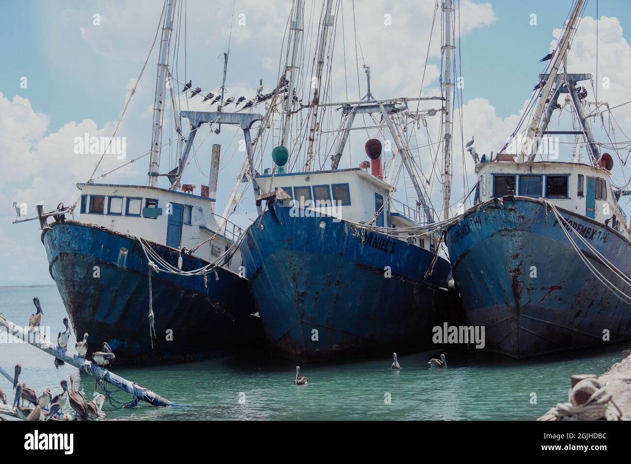 Fishing boats or sardines of the sardine company Pacifico Industrial in ...