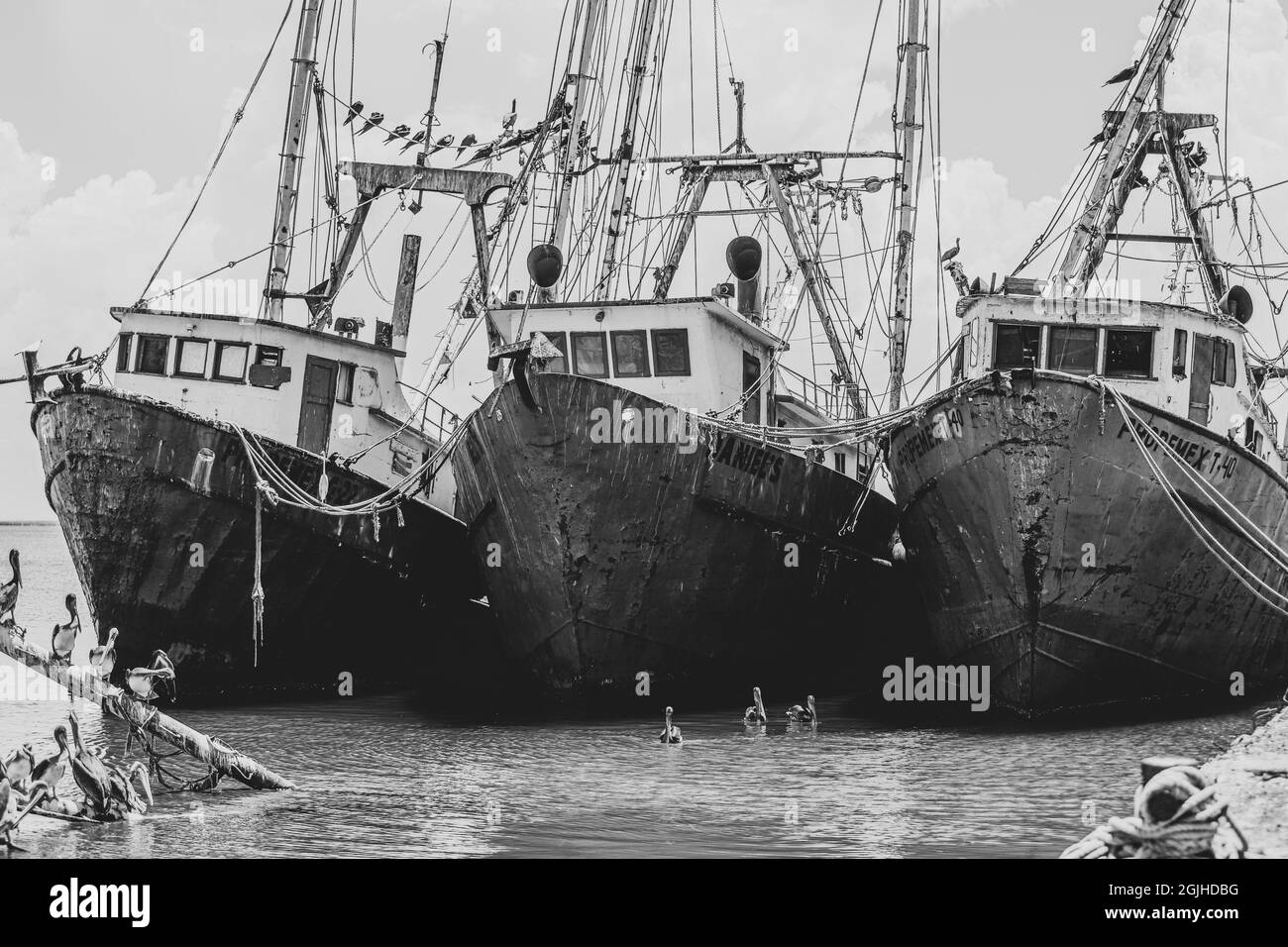 Fishing boats or sardines of the sardine company Pacifico Industrial in ...