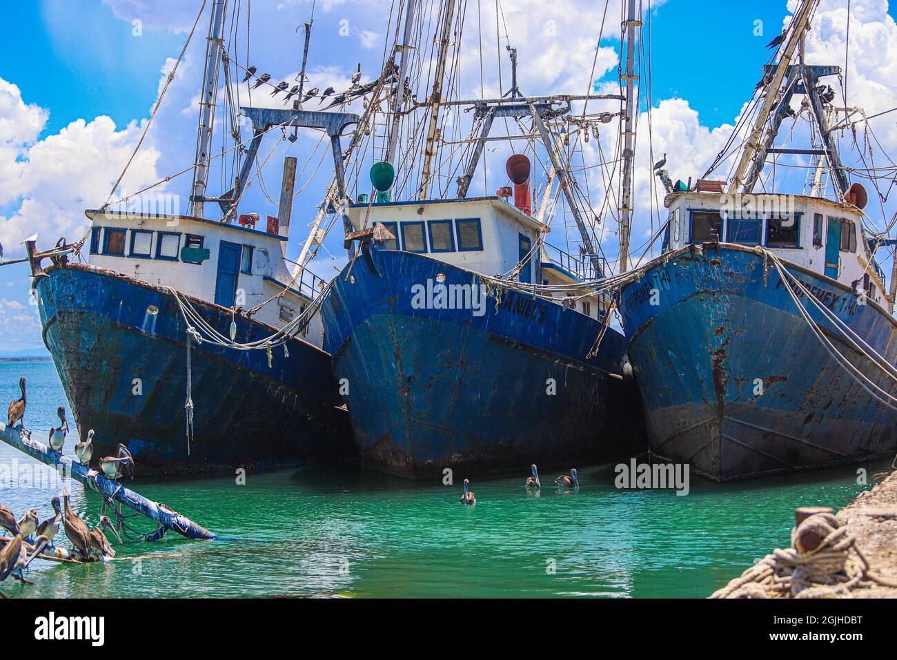 Fishing boats or sardines of the sardine company Pacifico Industrial in ...