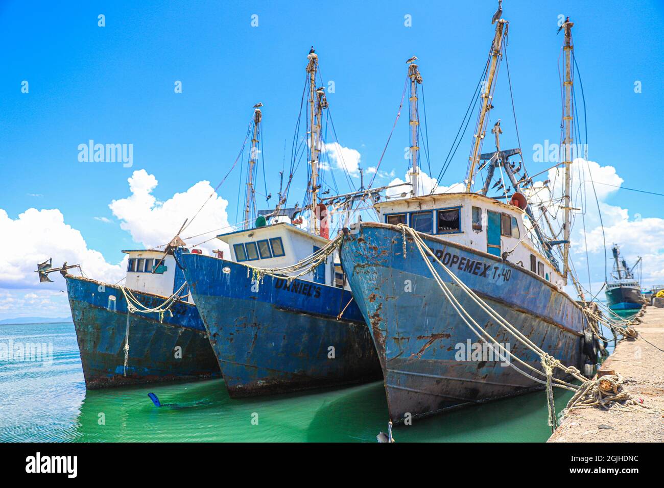 Fishing boats or sardines of the sardine company Pacifico Industrial in ...