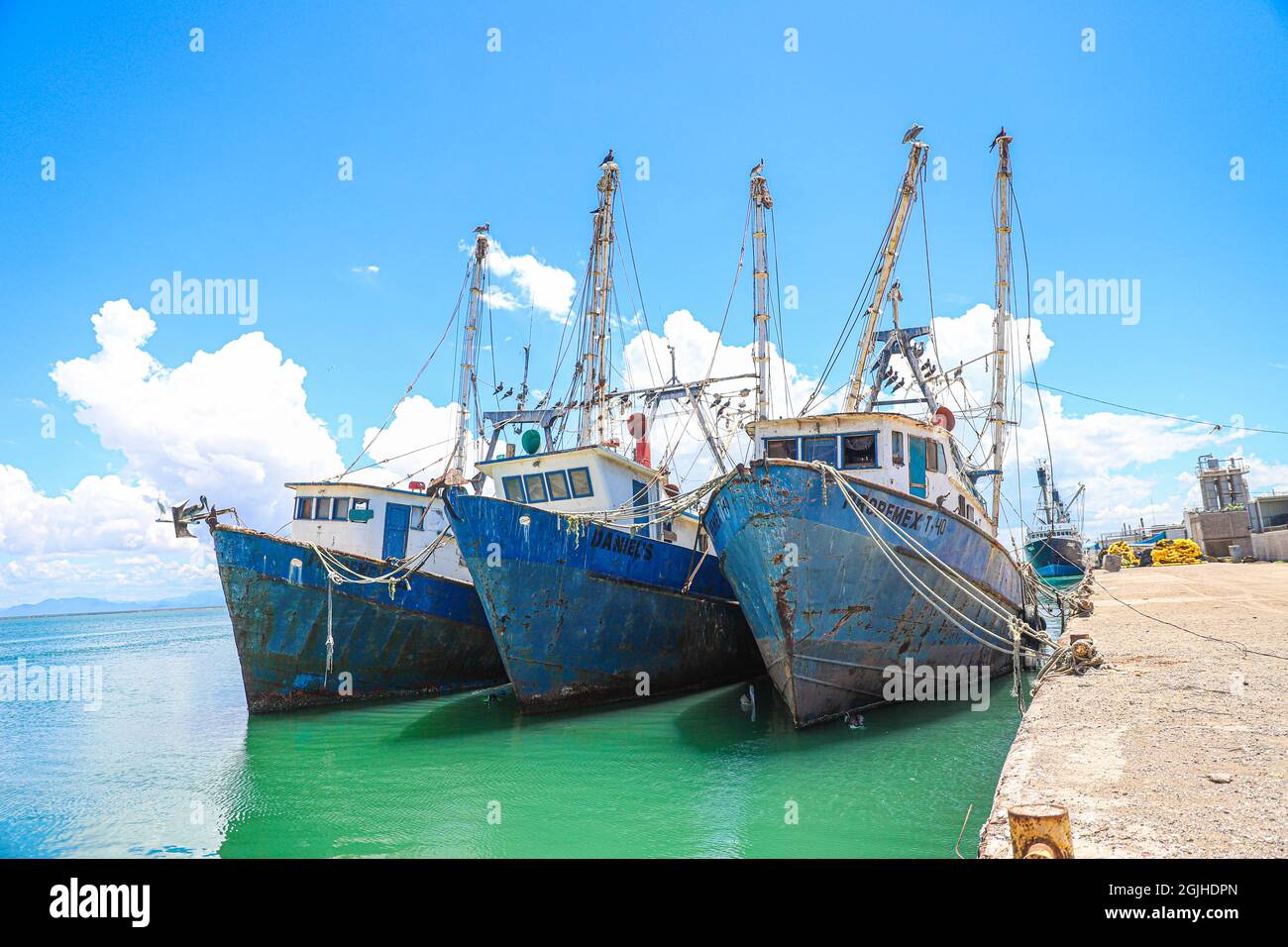 Fishing boats or sardines of the sardine company Pacifico Industrial in ...