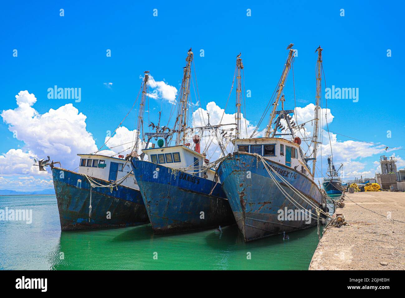 Fishing boats or sardines of the sardine company Pacifico Industrial in ...