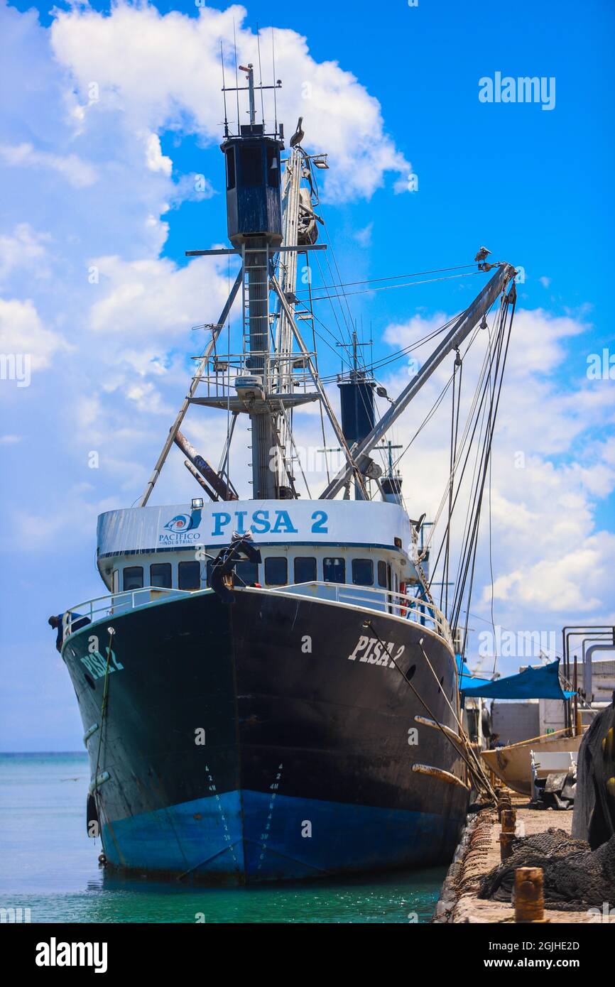 Fishing boat or sardine called Pisa II of the sardine company Pacifico ...