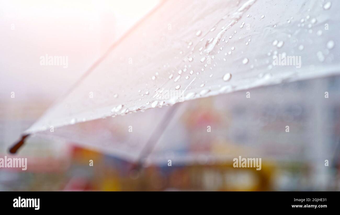 close-up of the edge of a transparent umbrella in the rain Stock Photo ...