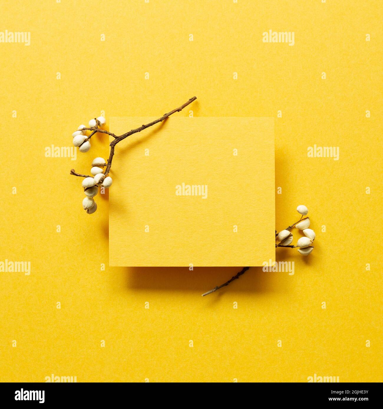 Blank card paper with dry plant on yellow background. top view, copy ...