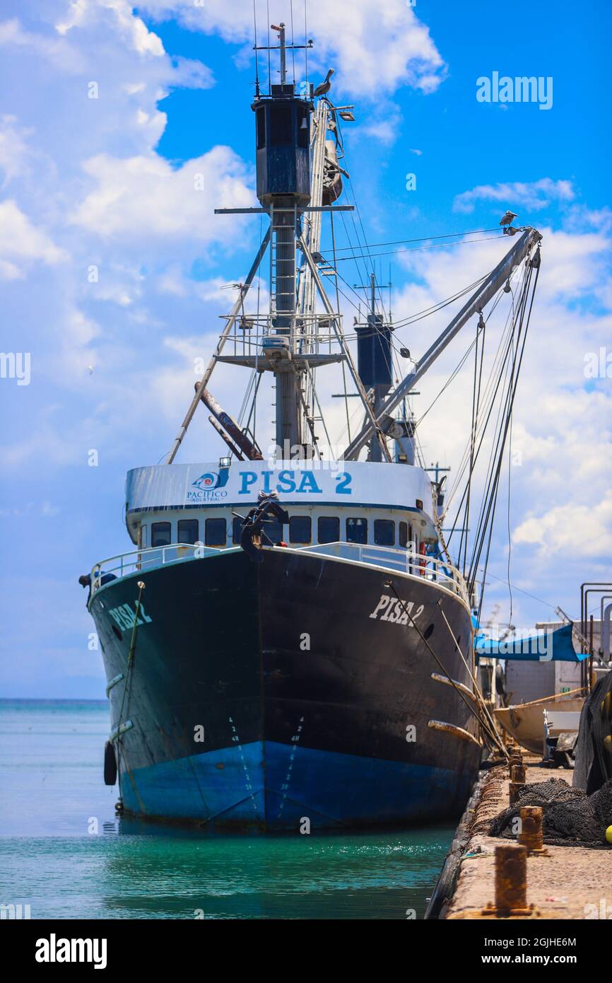 Fishing boat or sardine called Pisa II of the sardine company Pacifico ...