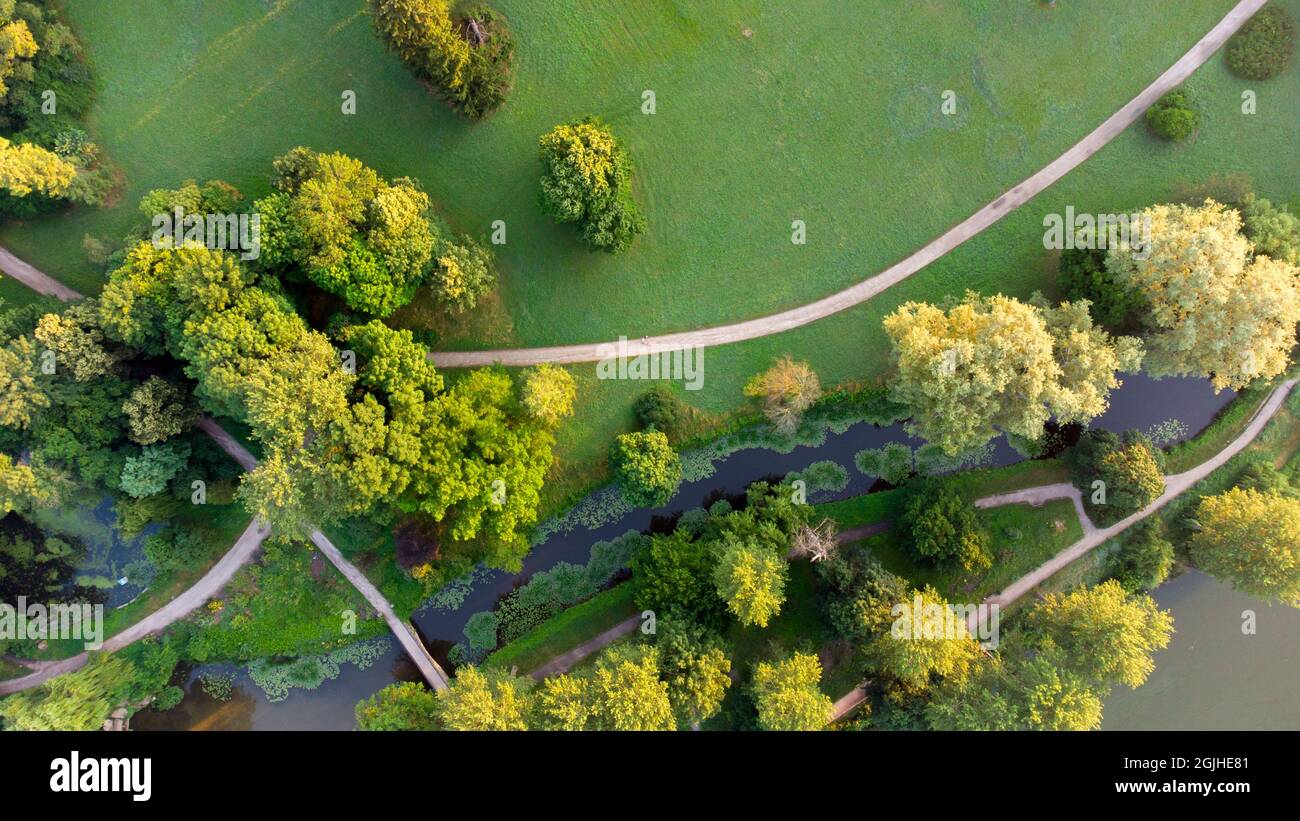 Top view dirt paths in the park in summer. Green trees, glades, lakes ...