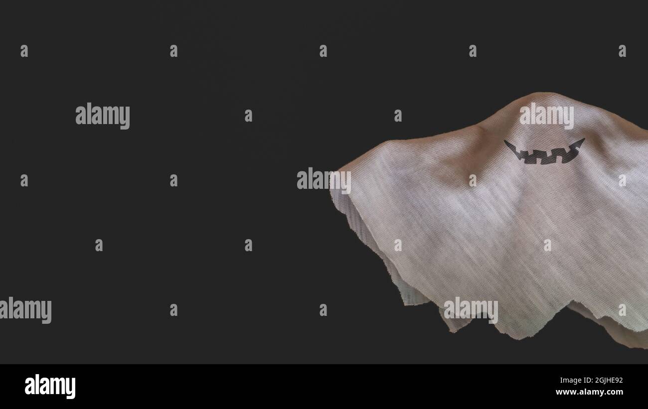 Ghost flies with copy space and evil smile. Halloween holiday Stock ...