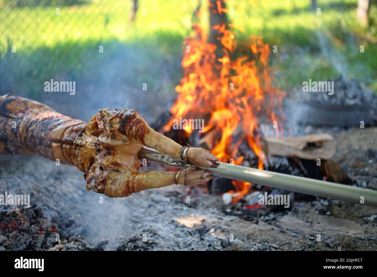 Pork meat baked on a spit Stock Photo - Alamy