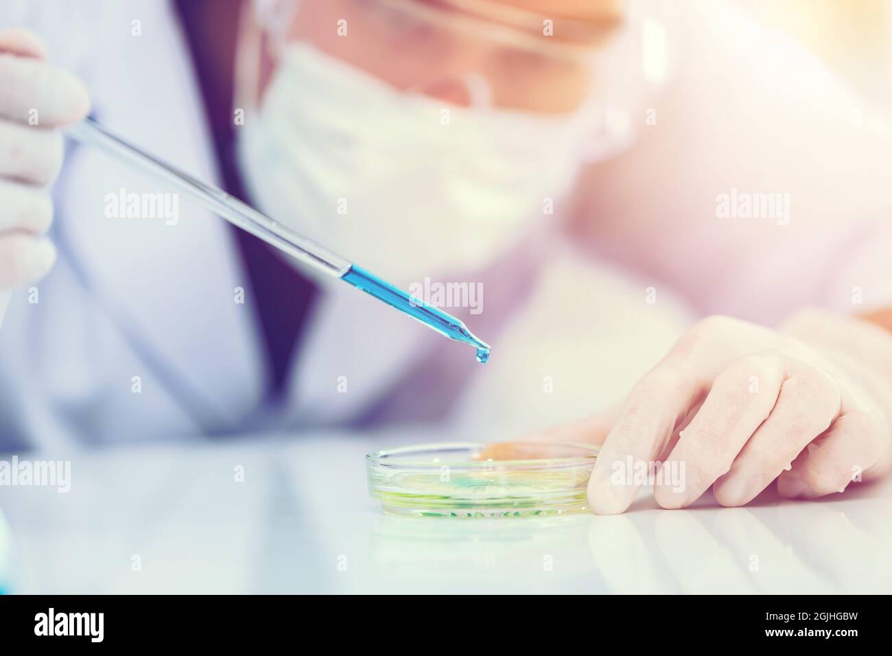 Scientist working experimental chemistry drop testing in glass petri ...