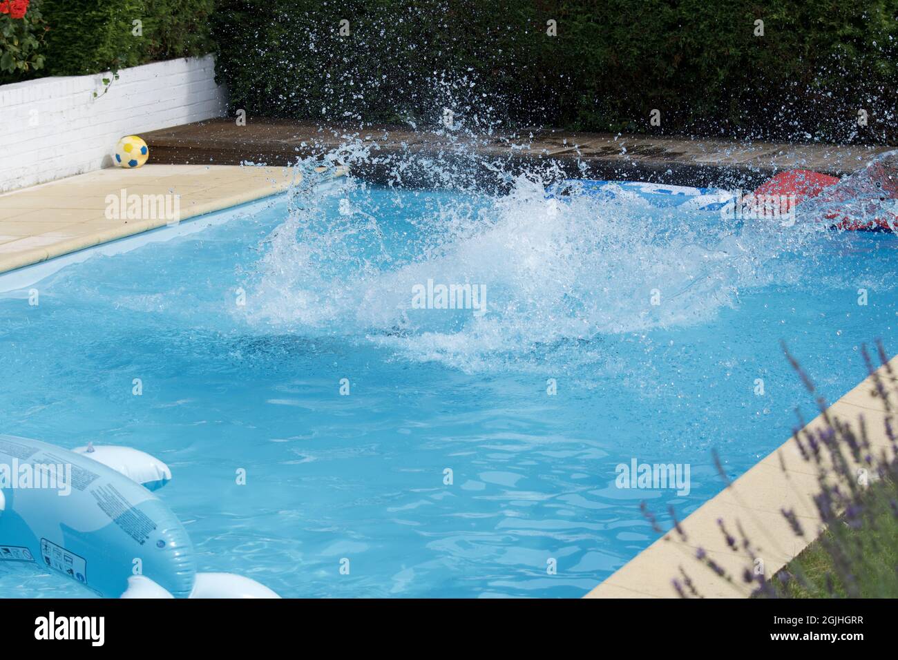 Blue water in the swimming pool Stock Photo - Alamy