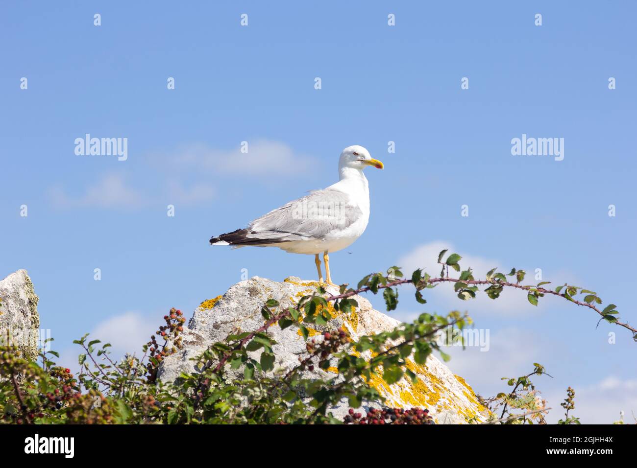 Using air currents hi-res stock photography and images - Alamy